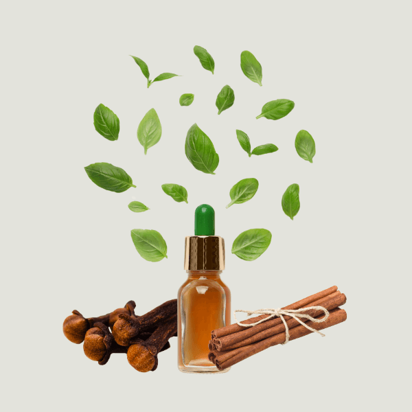 Nano.Control – B.Nano